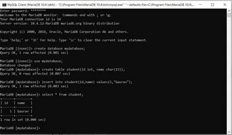 how to install maria db create database and execute queries java