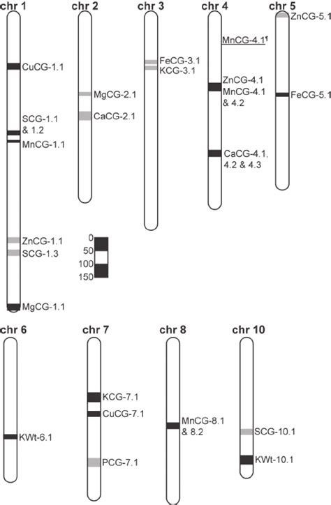 Genome Wide View Of Quantitative Trait Loci Qtl Detected In This
