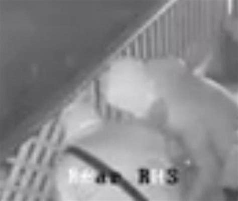 Bungling Thieves Struggle To Throw 250kg Safe Containing Jewellery Off