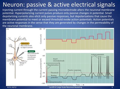 Ppt Cse511 Brain And Memory Modeling Lect05 6 Large Scale Neuronal