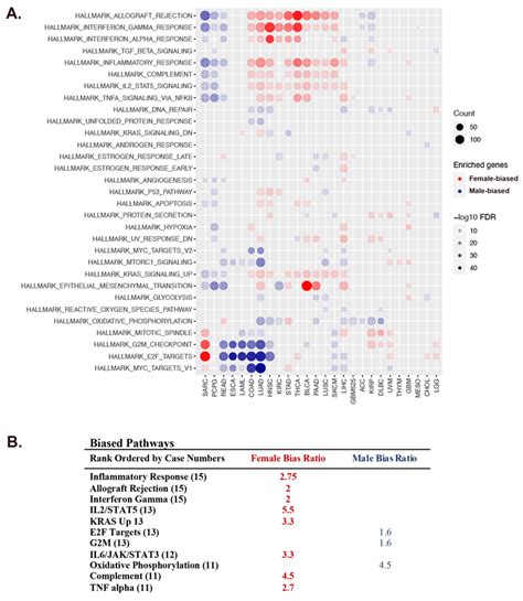 Most Cancers Exhibit Sex Biased Cancer Hallmark Pathway Activation A