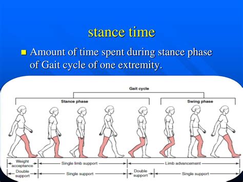 Ppt Human Gait Powerpoint Presentation Free Download Id 1562397
