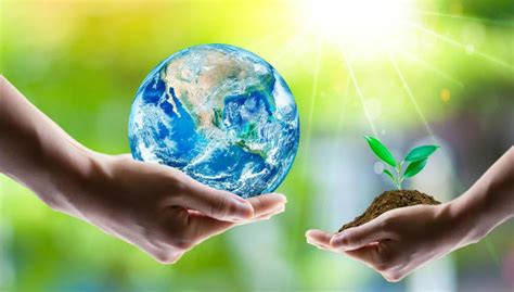 Educación Ambiental 10 Pasos Para Cuidar El Planeta