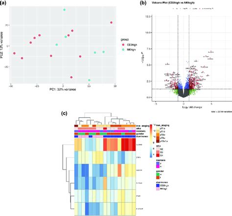 Bulk Rna Sequencing Reveals Transcriptional Differences And Gene