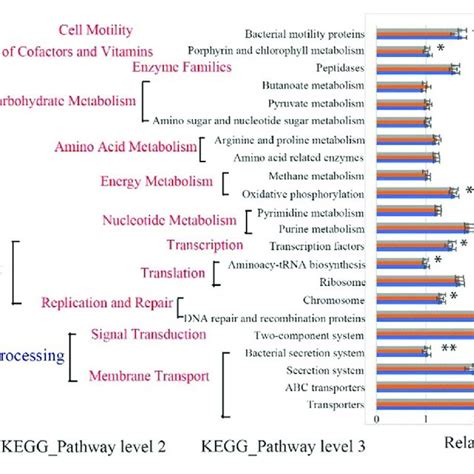 Functional Predictions For Phyllosphere Bacterial Communities With
