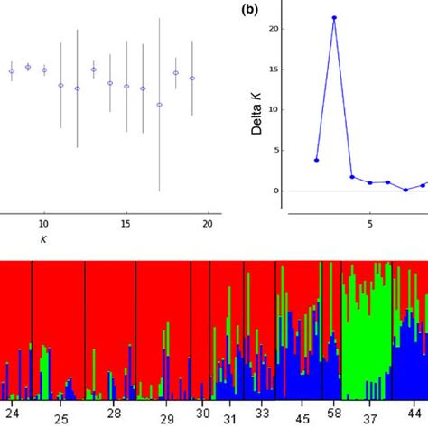 Bayesian Population Structure Analysis Used To Assign 343 Tetrix