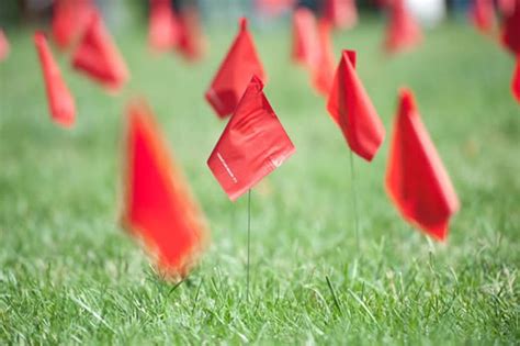 the red flag campaign the red flag campaign overview