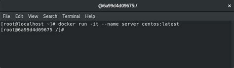 configure webserver and python interpreter using container — docker