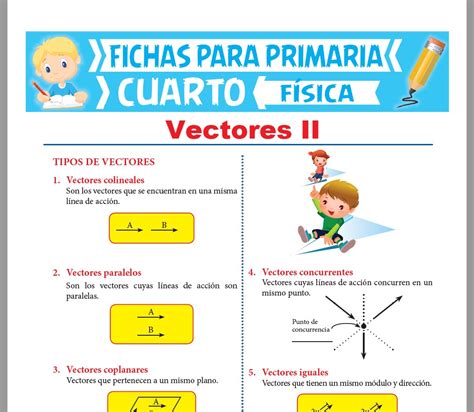 Tipos De Vectores Para Cuarto De Primaria Actividades Educativas