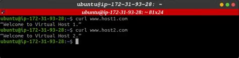 How To Configure Apache Virtual Hosts On Ubuntu 22 04