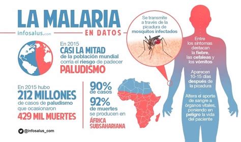 10 Datos Sobre La Malaria