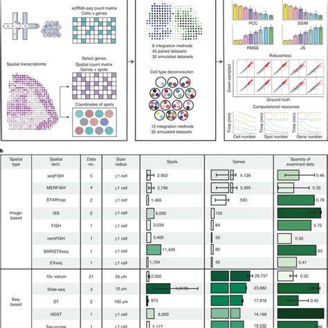 Benchmarking Spatial And Single Cell Transcriptomics Integration