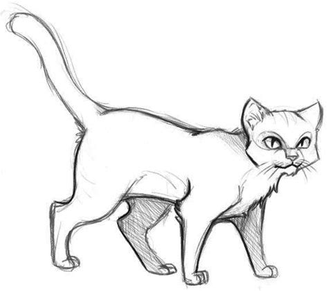 Нарисовать кот – Как нарисовать кошку карандашом поэтапно
