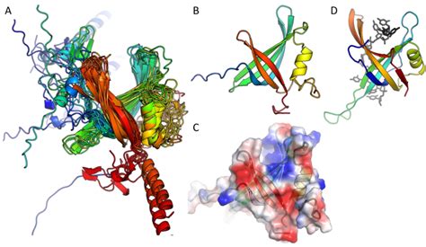 The Predicted Ssb Subunits Have An Ob Fold A Superposition Of All 16