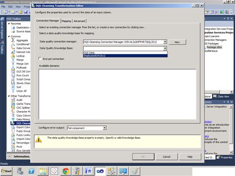 sqlserver business intelligence data cleansing with data quality