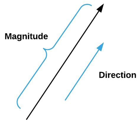 python vectors matrices and arrays with numpy onet idc
