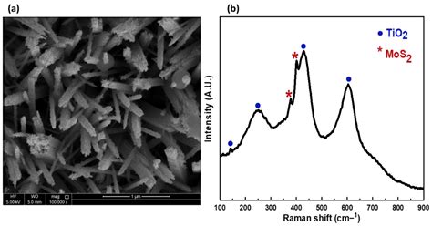 Nanomaterials Free Full Text Morphology Control Of Tio2 Nanorods