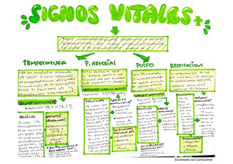 Mapa Conceptual Signos Vitales Pdf