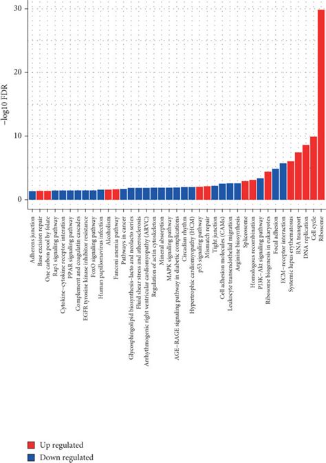 Go And Kegg Pathways Of Up And Downregulated Genes A C The Bubble
