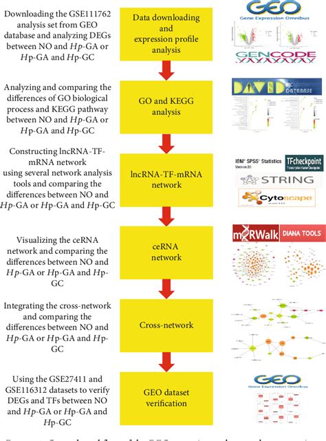 Figure 1 From Differentially Expressed Mrnas And Their Long Noncoding