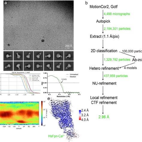 Figure Supplement 1 Cryo Em Analysis Of Hsfpn Ca 2 In Nanodisc A