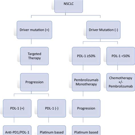 Metastatic Nsclc Treatment Algorithm Pd 1 Programmed Cell Death 1
