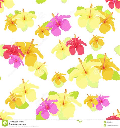 Beautiful Hibiscus Flower On White Vector Illustration Seamless Stock