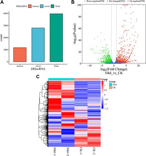 Long Chain Noncoding Rna Sequencing Analysis Reveals The Molecular