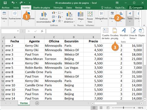encabezados y pies de página customguide