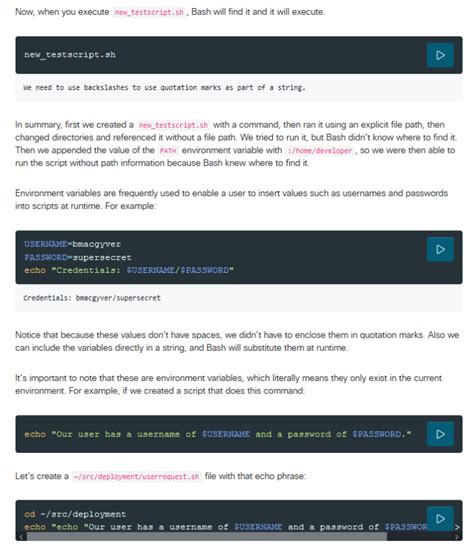 week 4 of the devnet grind full review of bash shell