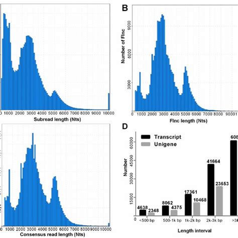 Number And Length Distribution Of Pacbio Smrt Sequencing Data For P