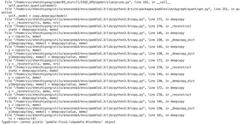 solov2：prunerqat时报错“typeerror cannot pickle paddle fluid libpaddle