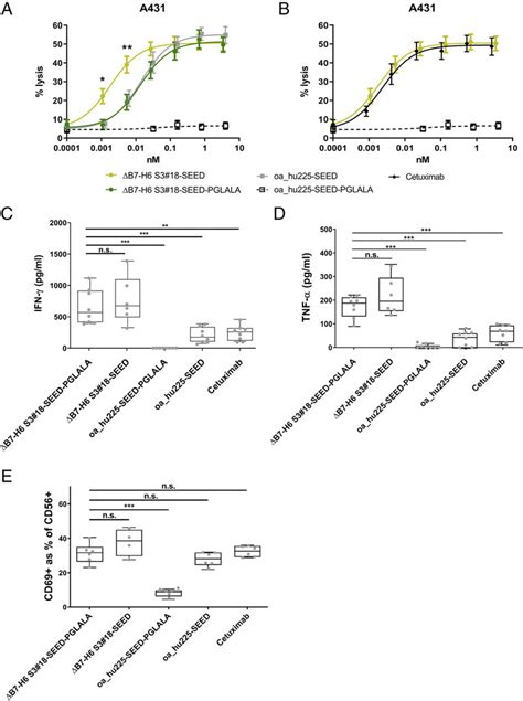 Synergistic Cytotoxic Activity By Concomitant Nkp30 And Fcgriiia