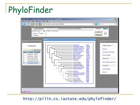 Ppt A Search Engine For Phylogenetic Tree Databases Powerpoint