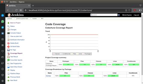 setting jenkins ci for python application consider python