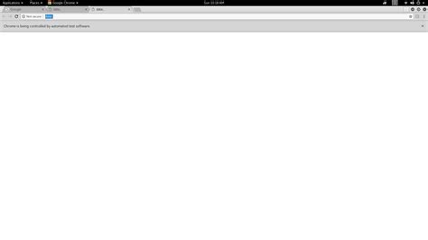 chrome被自动测试软件控制的 不安全 数据：，python