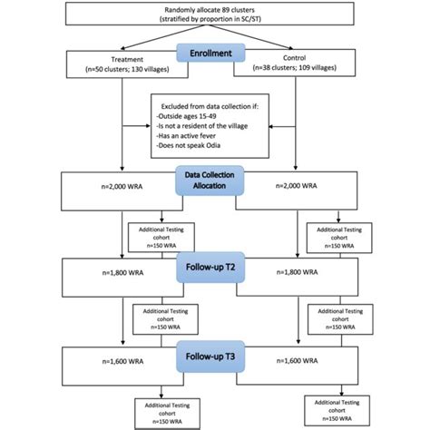 Custer Randomized Control Trial Schema Download Scientific Diagram