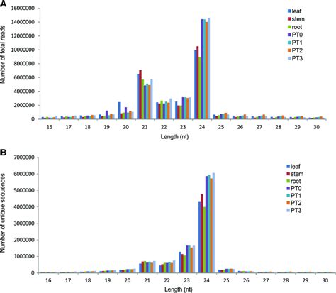 Length Distribution Of Small Rna Sequences Identified In All The Small