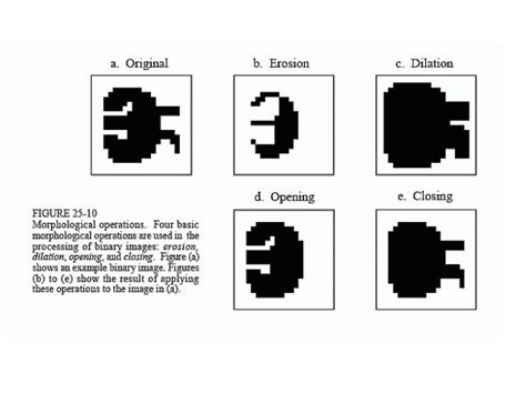 color detection with python opencv vines log