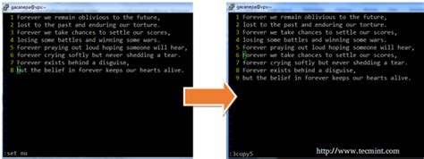 8 interesting ‘vi vim editor tips and tricks for every linux