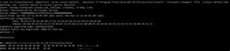 using java spring boot to administrate secrets management