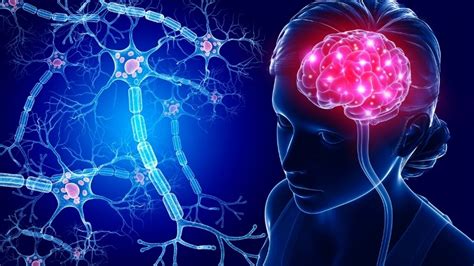 Cognitive Neurological And Best Sale Brain Development