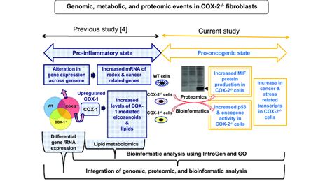 flow chart of a systems approach to translational genomics of cox 2 À À