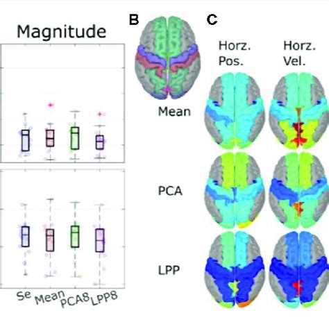 The Overall Results From The Source Space Decoding Adapted From