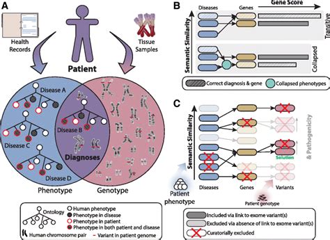 A Visual And Curatorial Approach To Clinical Variant Prioritization And