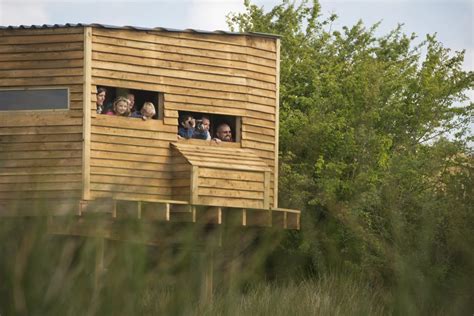 bird hide wildlife watching holidays in cornwall