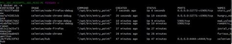 docker selenium tutorial how to integrate selenium grid