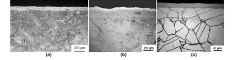 Cross Sectional Optical Micrographs Of Specimens Carburized At A 783