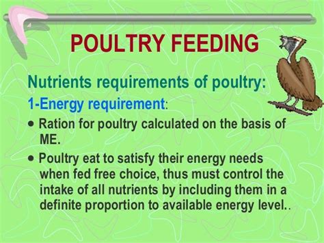 Poultry Feeding