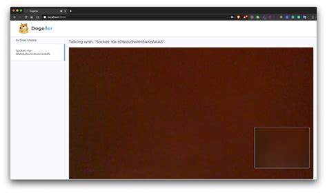 lib laravel vue webrtc